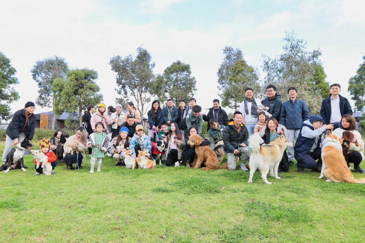 BBQ and Pet Party - Bring your pets | Windermere