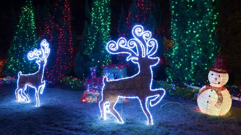 Christmas lights competition | Windermere